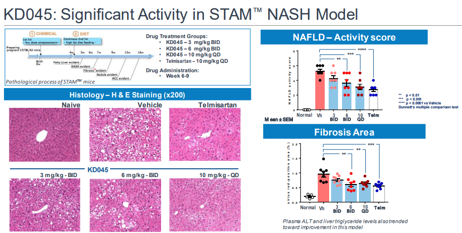 Kadmon Holdings: Updates To Thesis, Systemic Sclerosis Study Gets ...