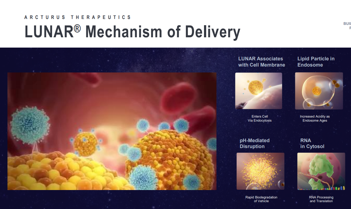 Assessing Arcturus Therapeutics (NASDAQ:ARCT) | Seeking Alpha