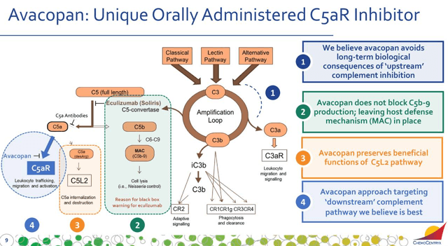 ChemoCentryx: Avacopan's Attractive Value Proposition (NASDAQ:AMGN ...