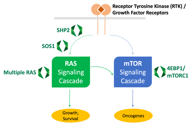 Revolution Should Be On Your Radar; 'Undruggable Targets' Now ...