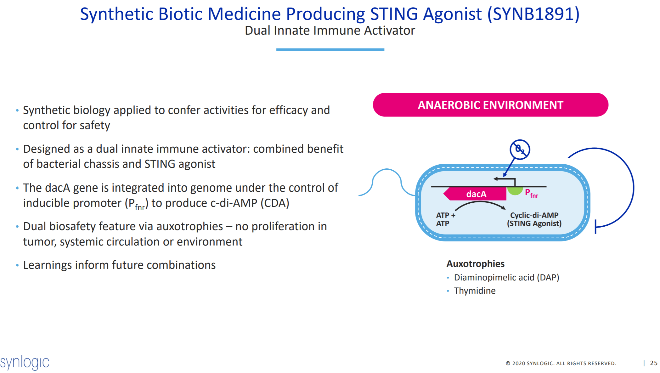 Synlogic: A Clinical-Stage Biopharma With A Good Risk/Reward Ratio ...