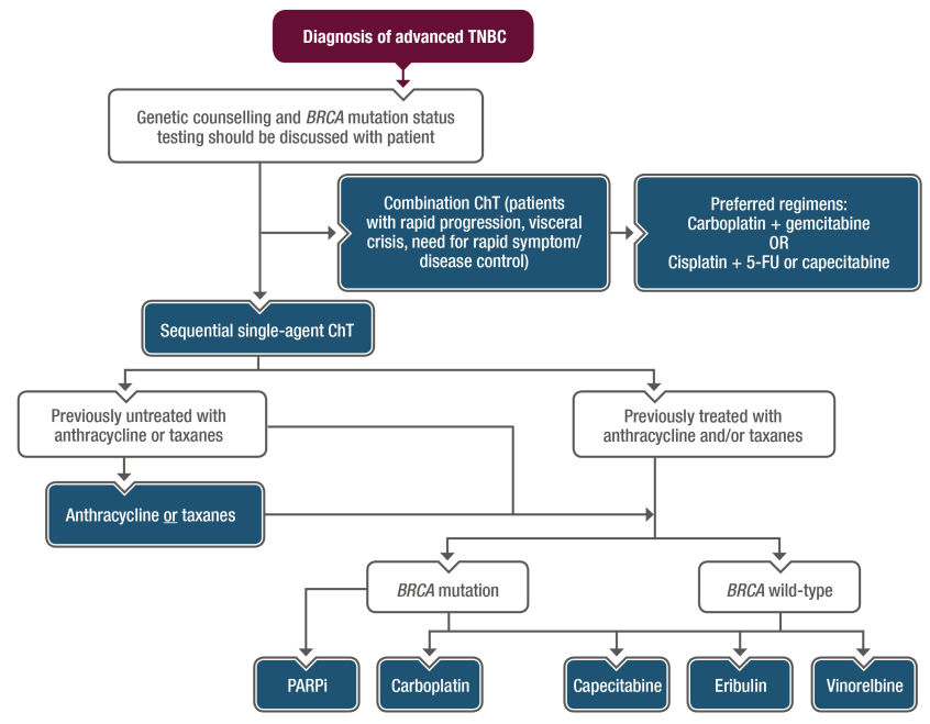 Erytech Pharma: Exploring New Ways To Battle Cancer (NASDAQ:PHXM ...