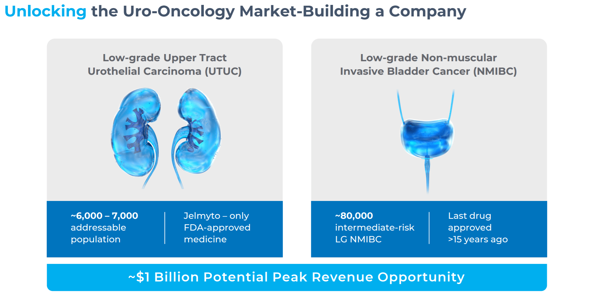 Jelmyto And UGN-102 Will Likely Drive Strong Returns For UroGen ...