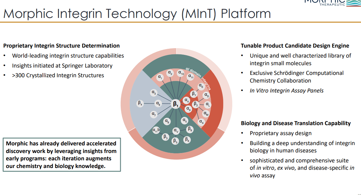 Morphic Therapeutic Stock: Pioneering Integrin Medicines (NASDAQ:MORF ...