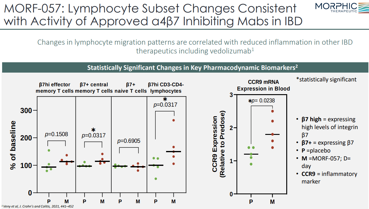 Morphic Therapeutic Stock: Pioneering Integrin Medicines (NASDAQ:MORF ...
