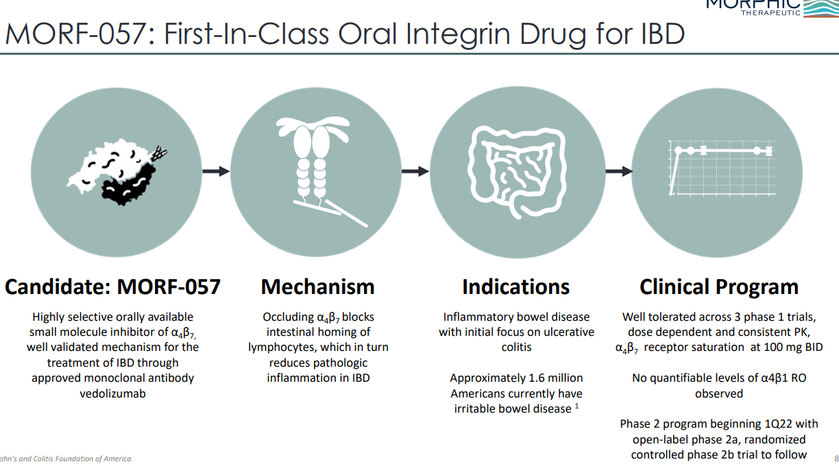 Morphic Therapeutic Stock: Pioneering Integrin Medicines (NASDAQ:MORF ...