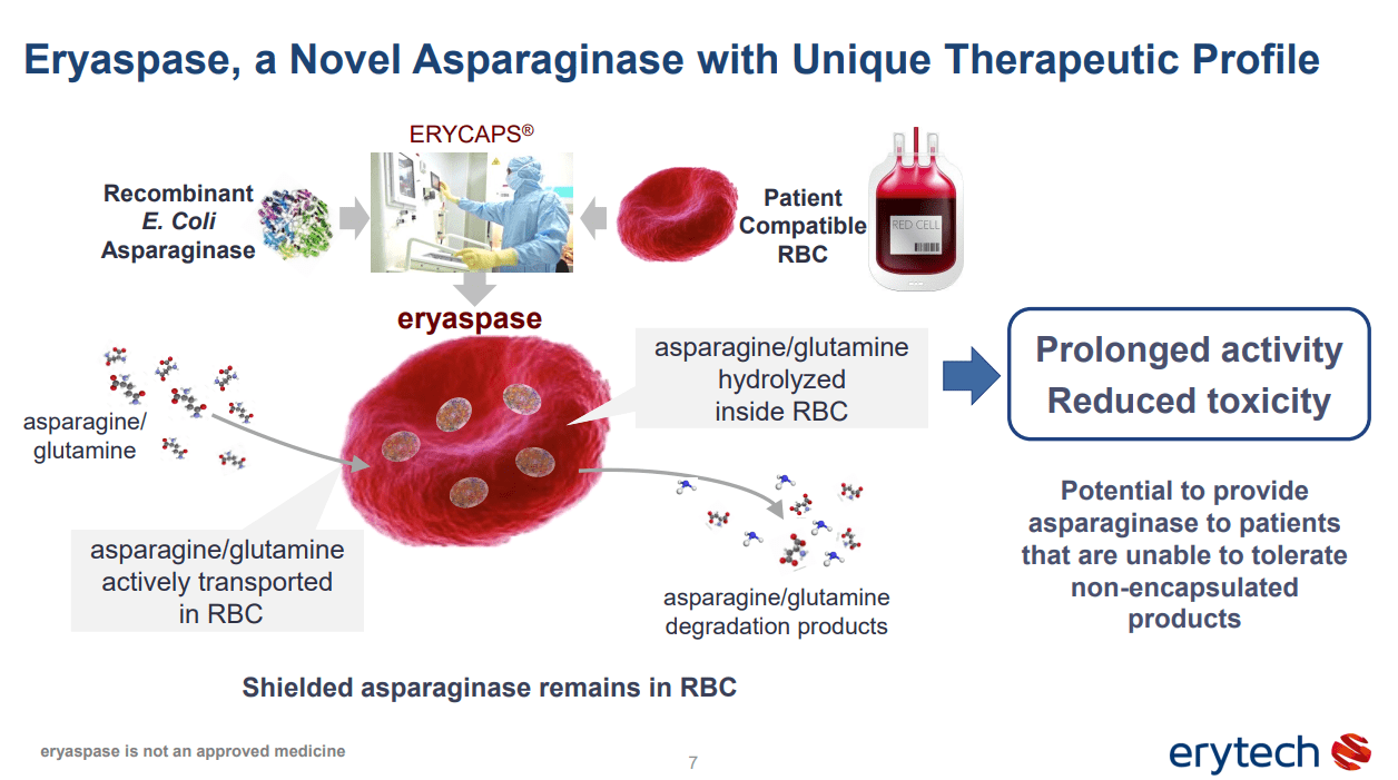 Our First Look At ERYTECH Pharma Stock (NASDAQ:ERYP) | Seeking Alpha