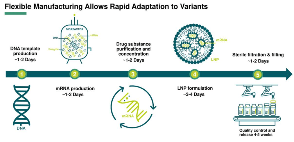 BioNTech Has More To Give Than Just Its COVID-19 Vaccine (NASDAQ:BNTX ...