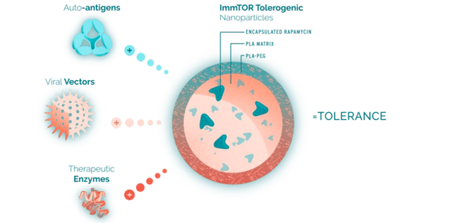 Selecta: ImmTOR Promises Therapeutic Revolution, But SEL-212 May Dash ...