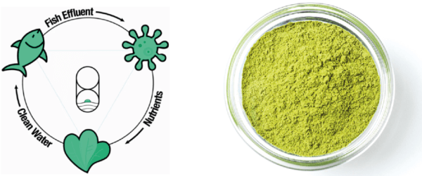 Pontus: The Next Level Of The Plant Based Food Revolution (OTCMKTS ...