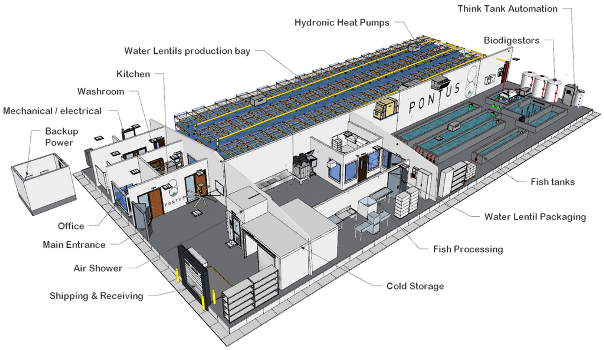 Pontus: The Next Level Of The Plant Based Food Revolution (OTCMKTS ...