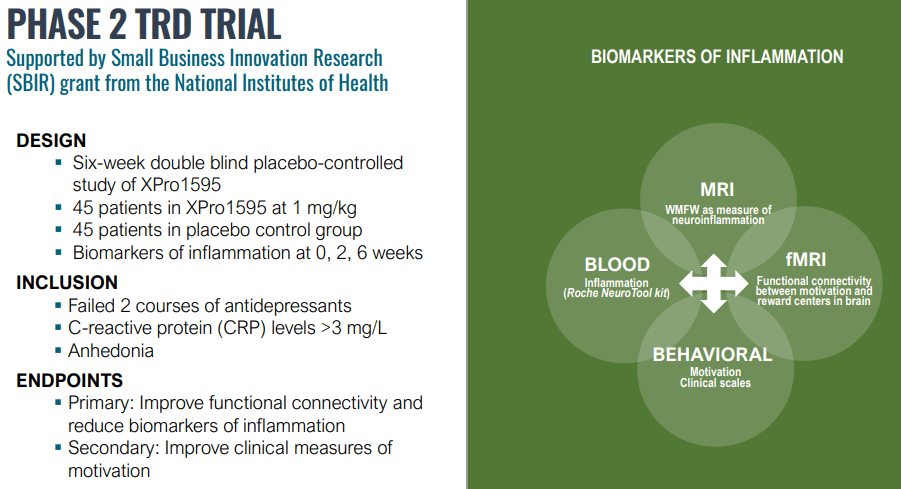 INmune Bio Stock: Harnassing The Power Of The Innate Immune System ...