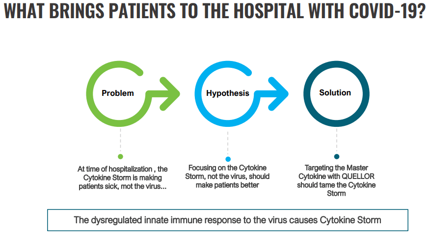 INmune Bio Stock: Harnassing The Power Of The Innate Immune System ...