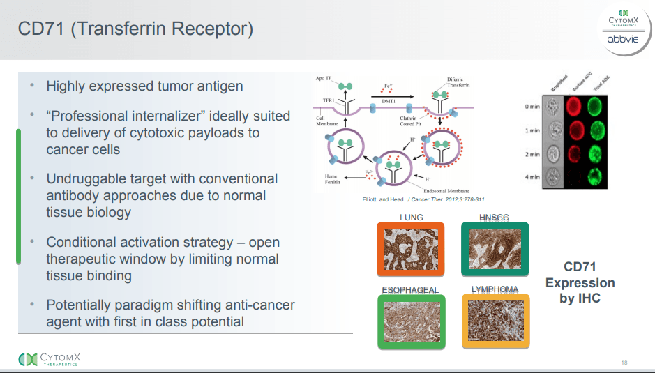 Checking In On CytomX Therapeutics (NASDAQ:CTMX) | Seeking Alpha