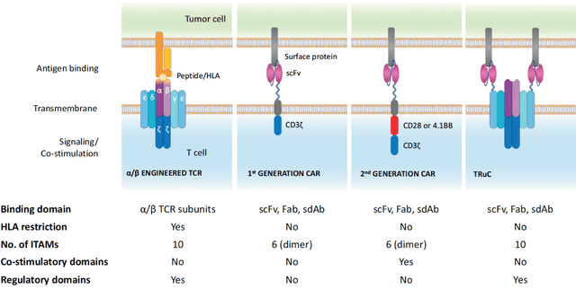 TCR2 Therapeutics (TCRR) Offers Promising Technology | Seeking Alpha