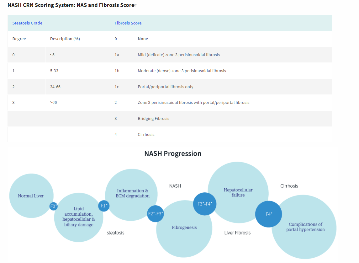 89bio Stock: Undervalued Contender In Race For First NASH Drug Approval ...