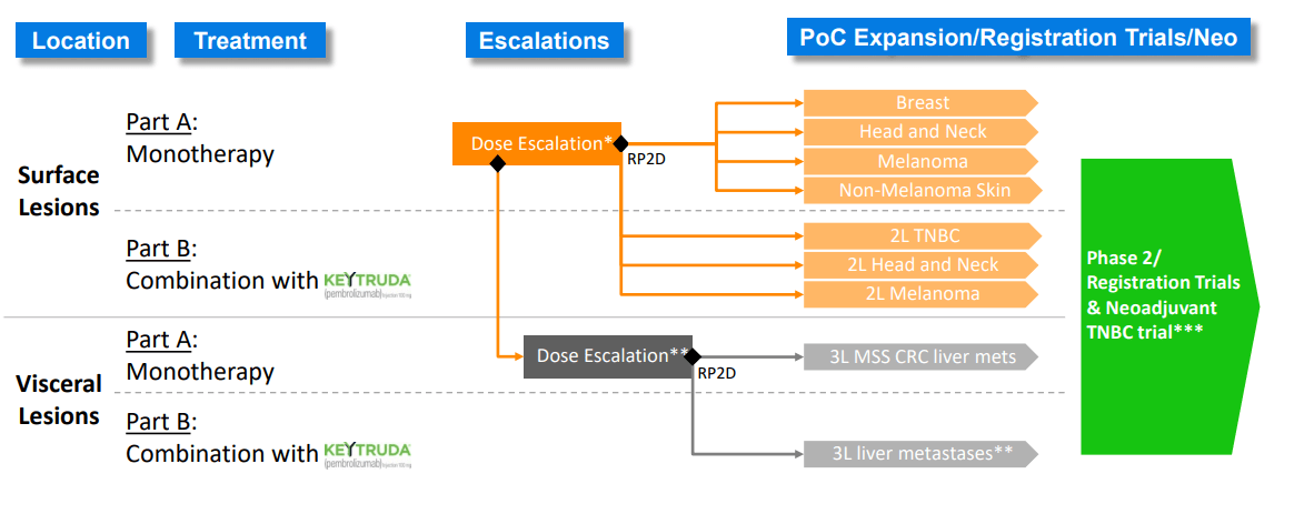 Oncorus: Shares Look Cheap As First Oncolytic Viral Therapy Enters ...