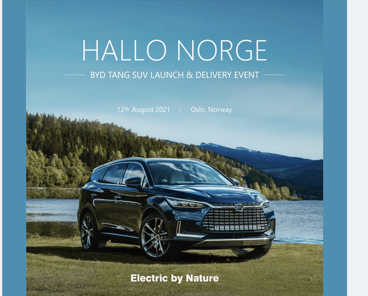 BYD's Vertical Integration Makes It The Best EV Pick (OTCMKTS:BYDDF ...