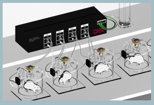 Harvard Bioscience: Dressed Up And Waiting For A Suitor (NASDAQ:HBIO ...