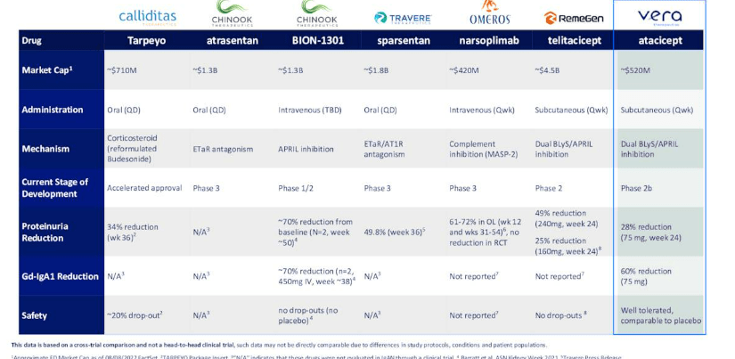 Chinook Therapeutics: Multiple Shots On Goal For IgAN (NASDAQ:KDNY) | Seeking Alpha