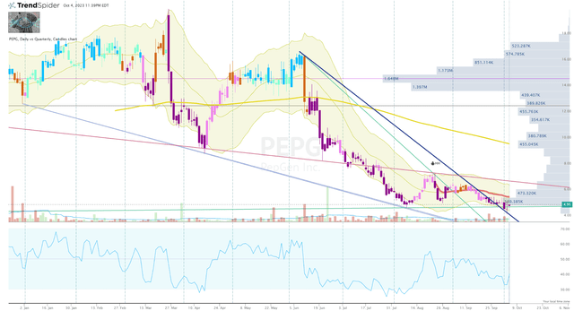 PepGen: Potential Trailblazer With An Attractive Risk-Reward (NASDAQ ...