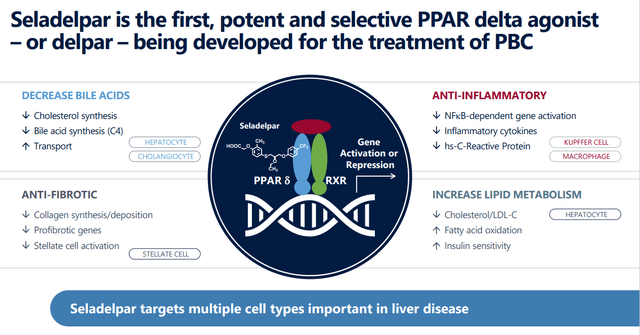 Circling Back On CymaBay Therapeutics (NASDAQ:CBAY) | Seeking Alpha