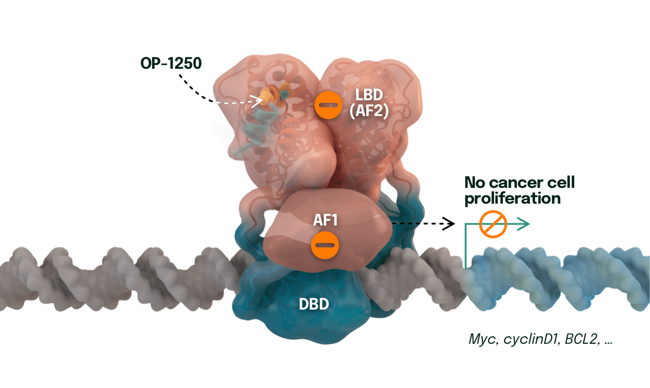 Olema Pharmaceuticals Stock: Advancing On Multiple Fronts (NASDAQ:OLMA ...