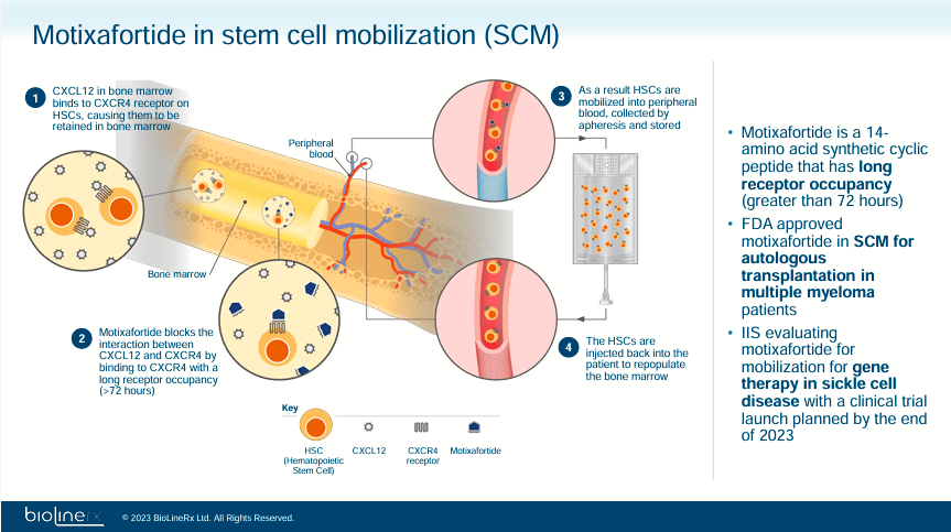 BioLineRx: Weighing Aphexda's Breakthrough Against Financial Challenges ...