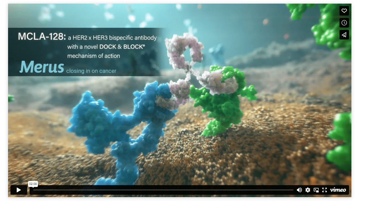 Merus Stock: Rally Seems Overdone (NASDAQ:MRUS) | Seeking Alpha