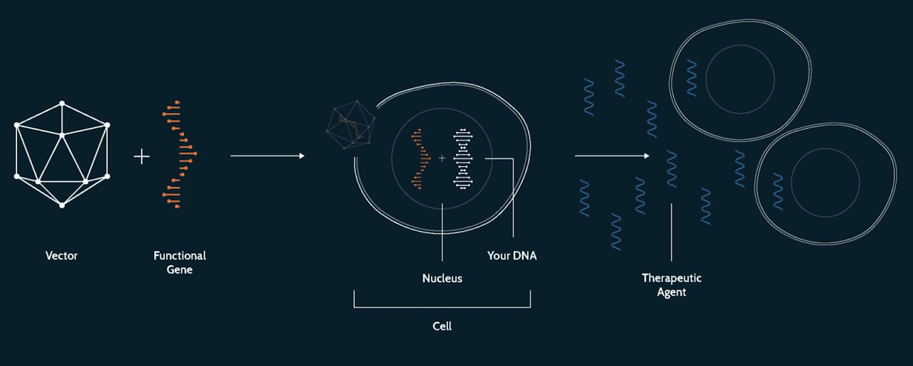 Regenxbio's Vector Technology Will Change Gene Therapy (NASDAQ:RGNX ...