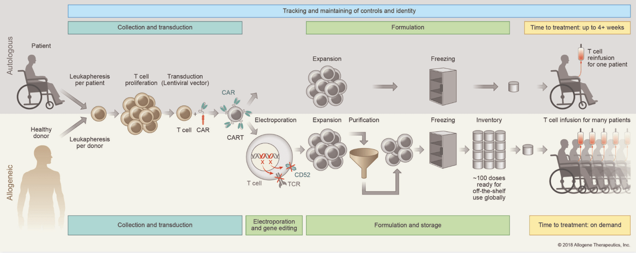 Allogene: ALLO-715 Phase 1, ALLO-213 Preclinical Data Promising (NASDAQ ...