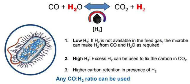 LanzaTech Stock: Valuation Is High Given Uncertainty (NASDAQ:LNZA ...