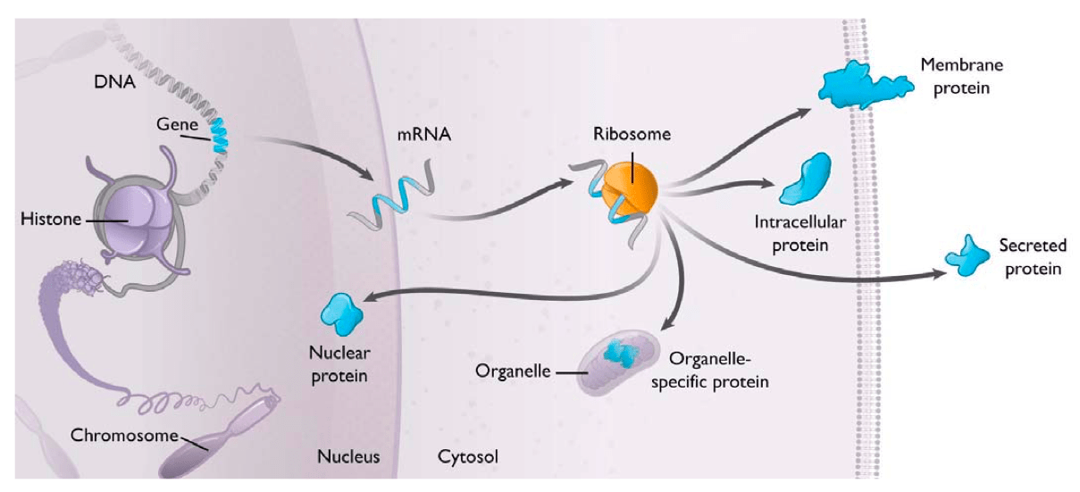 Moderna Stock: Great Value For Money Right Now (NASDAQ:MRNA) | Seeking ...