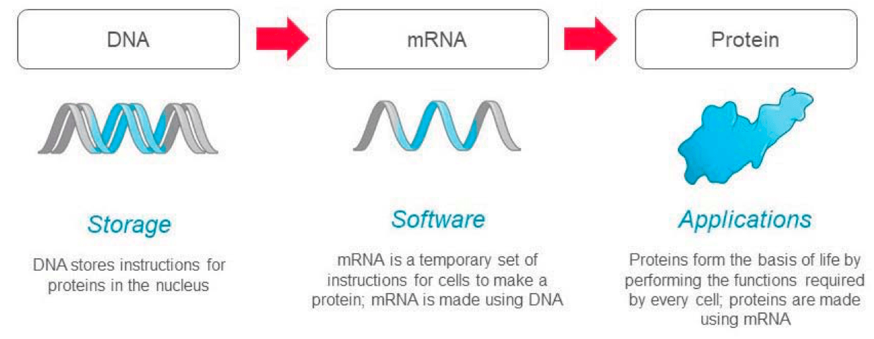 Moderna Stock: Great Value For Money Right Now (NASDAQ:MRNA) | Seeking ...