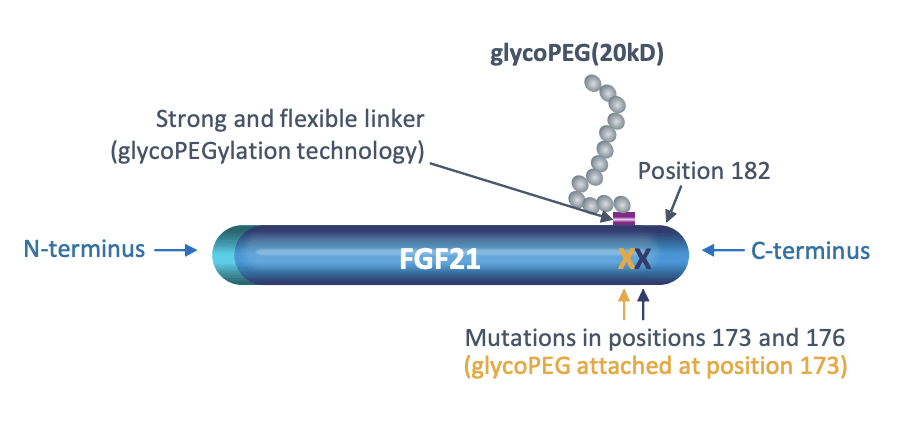 89bio: Lead Candidate Shows Strong Efficacy In NASH And SHTG Trials ...