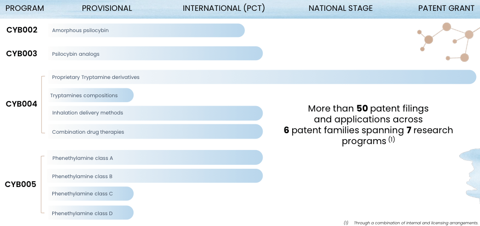 Cybin (CYBN) Stock: Headcount Reduction Insufficient To Ease Balance ...