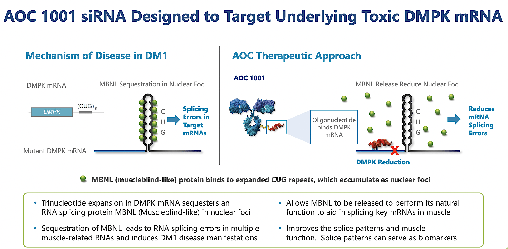 Avidity: An Interesting Diversification (NASDAQ:RNA) | Seeking Alpha