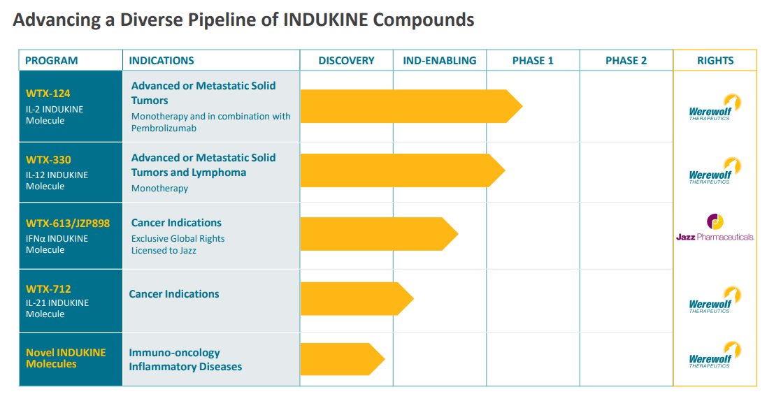 Werewolf Therapeutics: A Clinical Stage Biotech On The Hunt For Results (HOWL) | Seeking Alpha