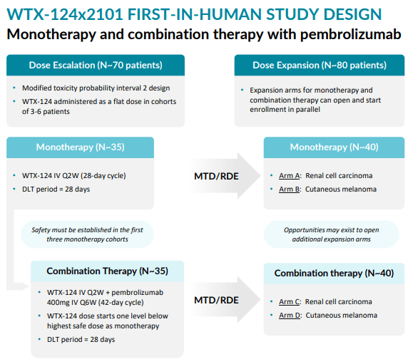 Werewolf Therapeutics: A Clinical Stage Biotech On The Hunt For Results ...