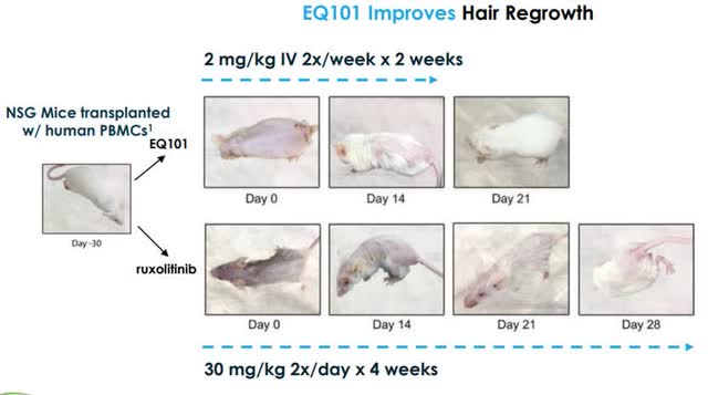 Equillium: A Negative EV Biotech With Compelling Programs And Cash ‘Til ...