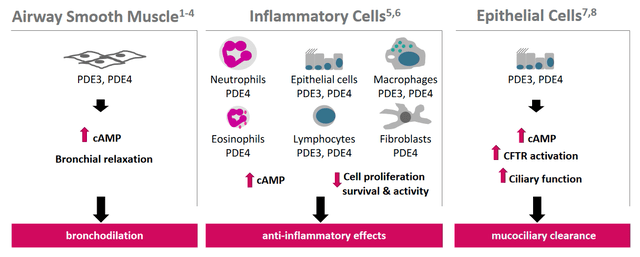 Verona Pharma: Revolutionizing COPD With First Triple Mechanism Inhaled ...