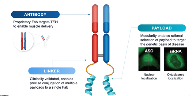 Dyne Therapeutics: FORCE Platform Poised To Revolutionize Gene Therapy ...