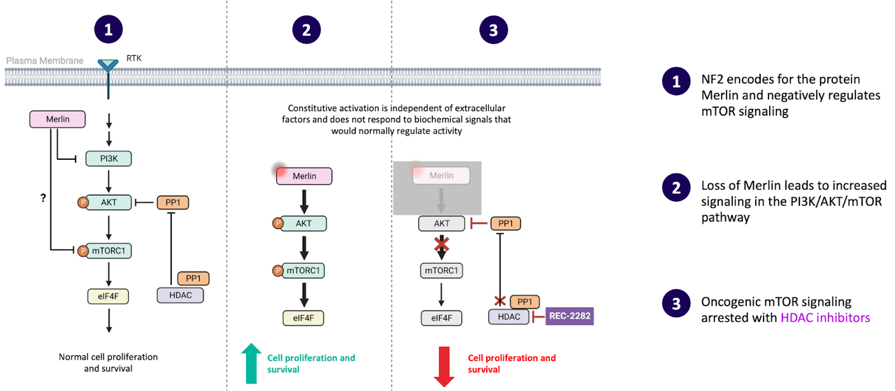 Recursion: Unlocking Future Of Biotech With AI-Powered Drug Discovery ... Recursion: Unlocking Future Of Biotech With AI-Powered Drug Discovery ...
