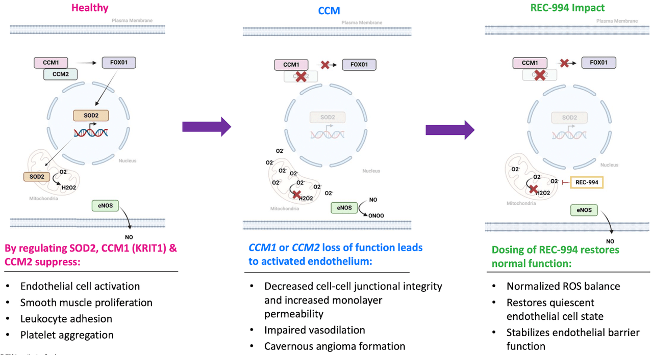Recursion: Unlocking Future Of Biotech With AI-Powered Drug Discovery ...