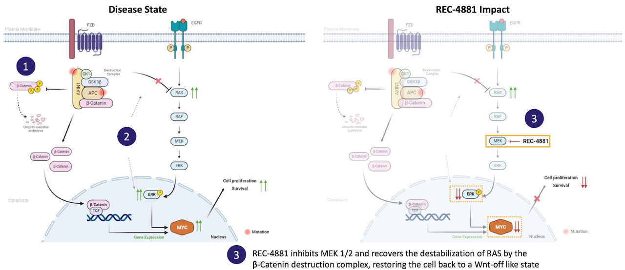 Recursion: Unlocking Future Of Biotech With AI-Powered Drug Discovery ... Recursion: Unlocking Future Of Biotech With AI-Powered Drug Discovery ...