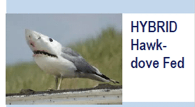 Powell Check-Raises The Market With 'Hawkish' Pause (SP500) | Seeking Alpha