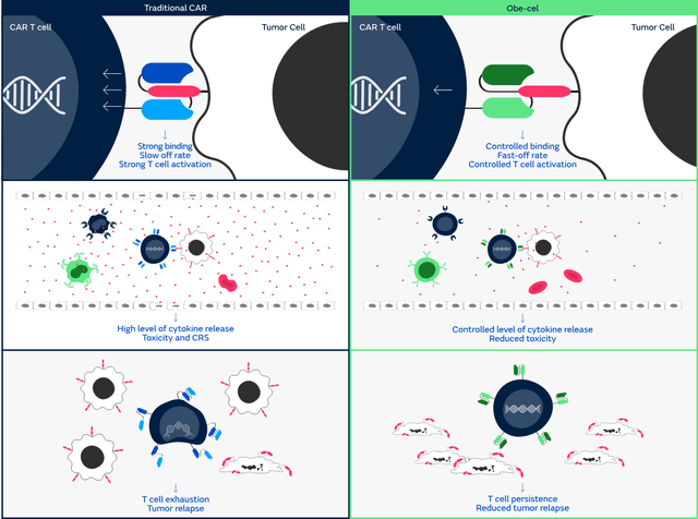 Autolus Therapeutics Could Hold A Winning CAR T-Cell Ticket (NASDAQ ...