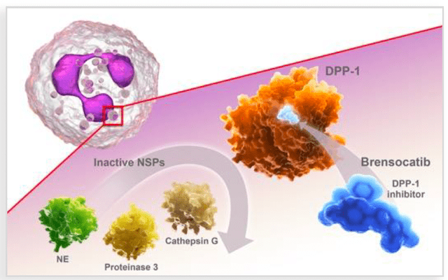 Insmed's Financial Growth Conveys Promising Outlook For Investors ...