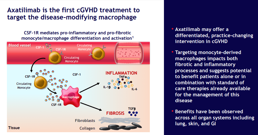 Syndax Pharmaceuticals: Positive Axatilimab Phase 2 Results (NASDAQ ...