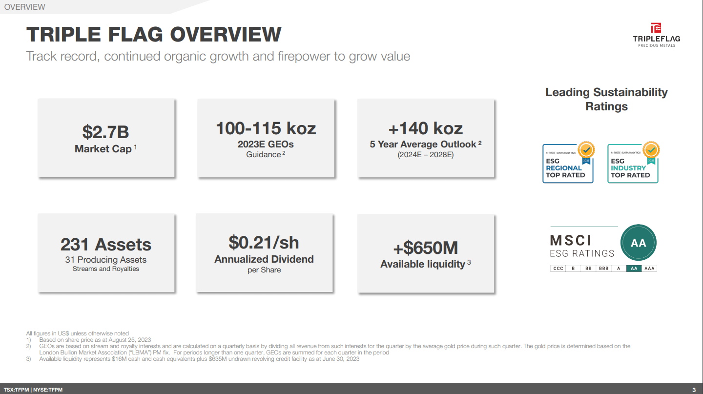 Triple Flag: The Best Mid-Size Royalty Company Reasonably Priced (NYSE ...